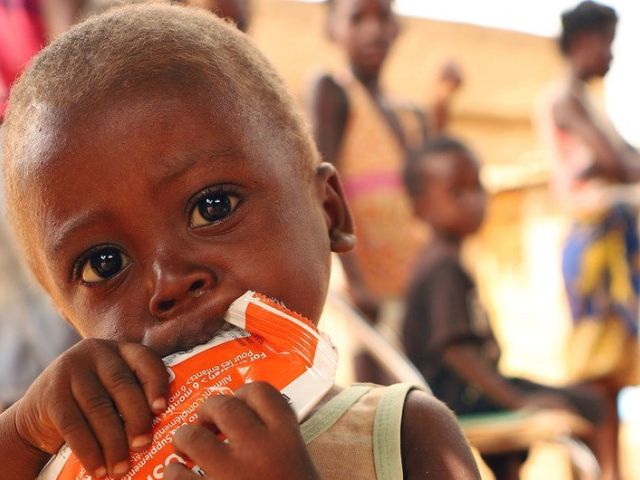 A agricultura e a alimentação em Angola